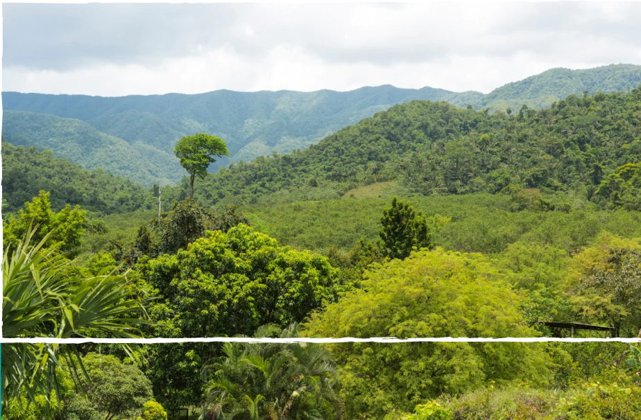 Seven Amazing Belizean Adventures - MyBelize.Net