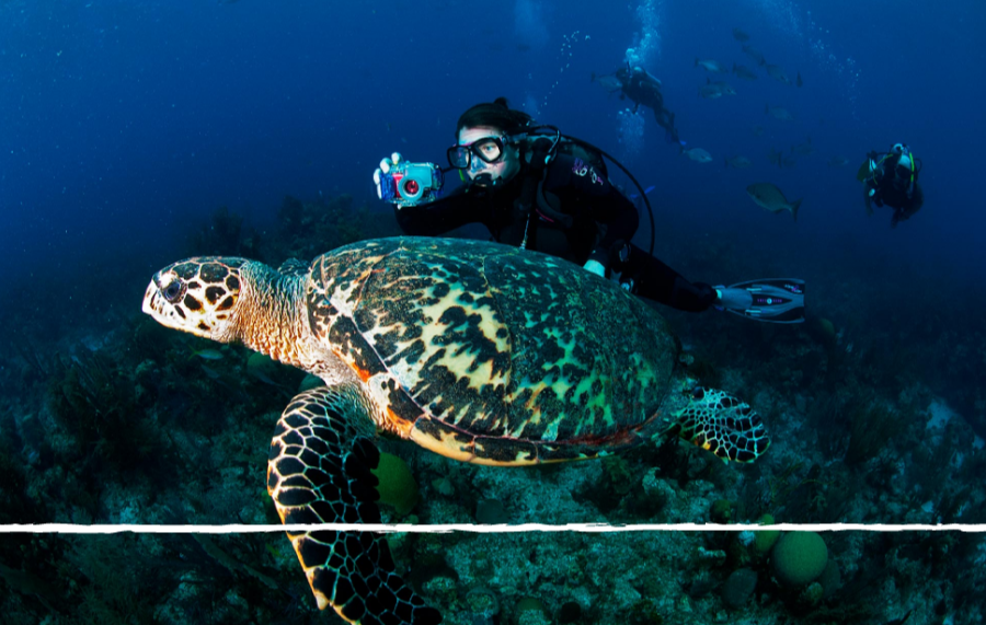 Seven Amazing Belizean Adventures - MyBelize.Net